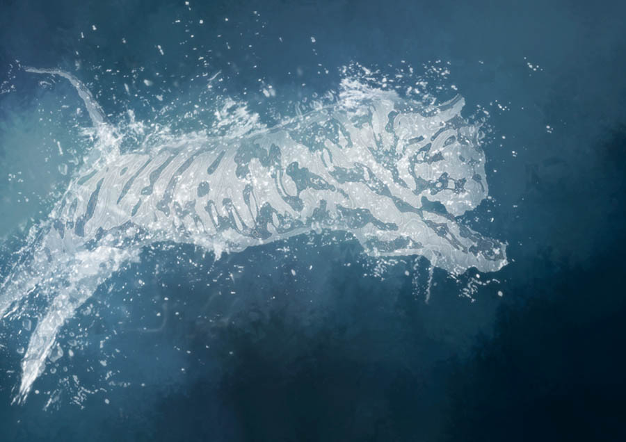 Water tiger – Edu Porex
